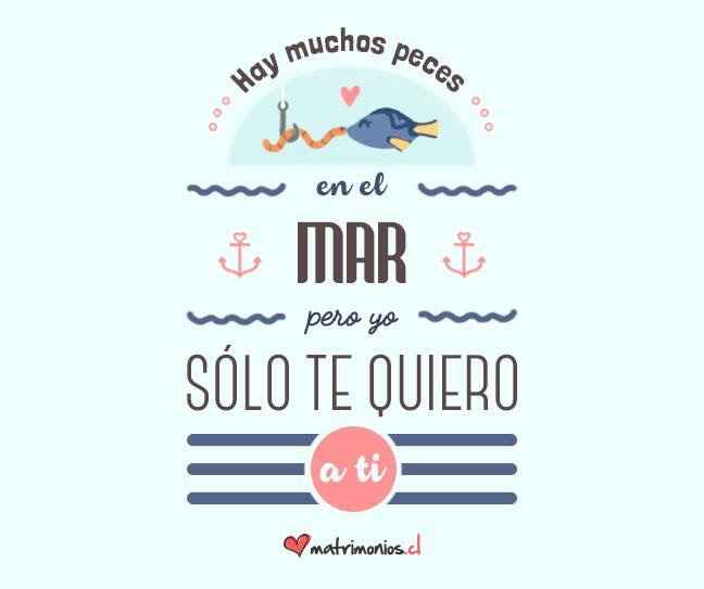 Frases De Amor Sobre Peces En El Mar